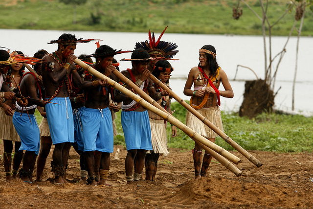 Ŧhe ₵oincidental Ðandy: November 2011